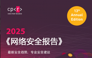 2025 年网络安全报告 - GoUpSec